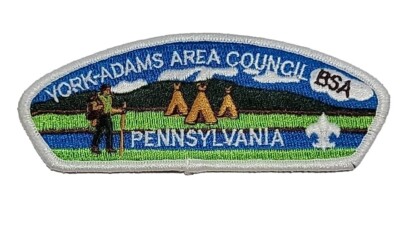 Unused Vintage York-Adams Area Council Pennsylvania BSA CSP Solid FDL ...