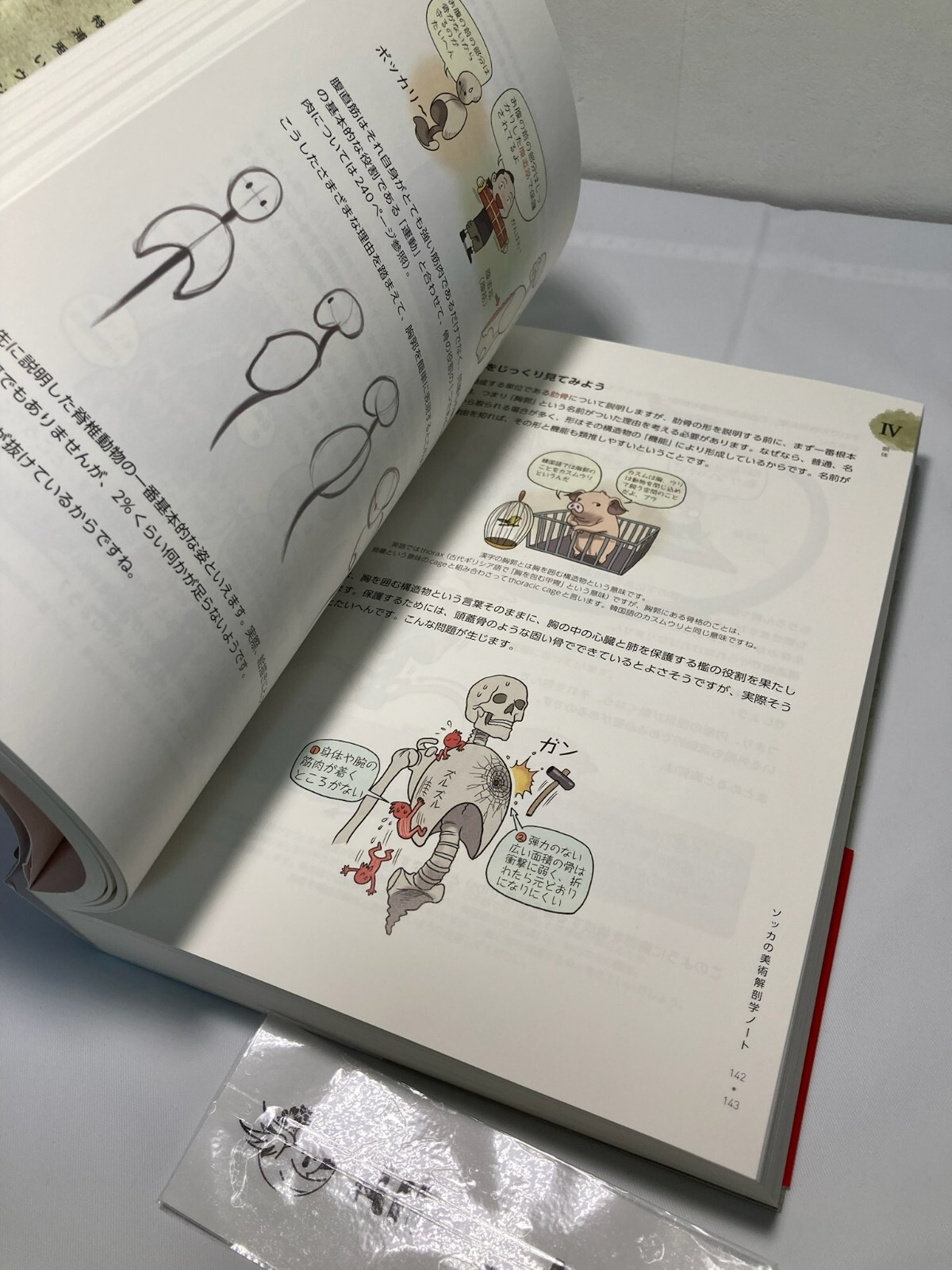 Stonehouse's Anatomy Note Socca Suk Jong Hyun How to Draw Human Body ...