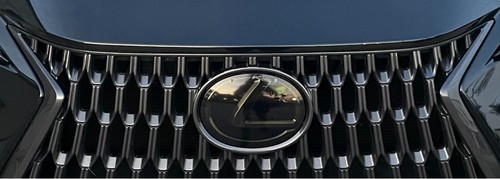 For 2022-2023 Lexus NX Front Emblem Insert Decal Vinyl Dark Smoke | eBay