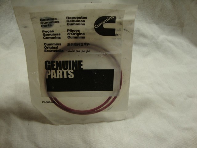 OEM Cummins Seal O Ring 3678738 for sale online | eBay