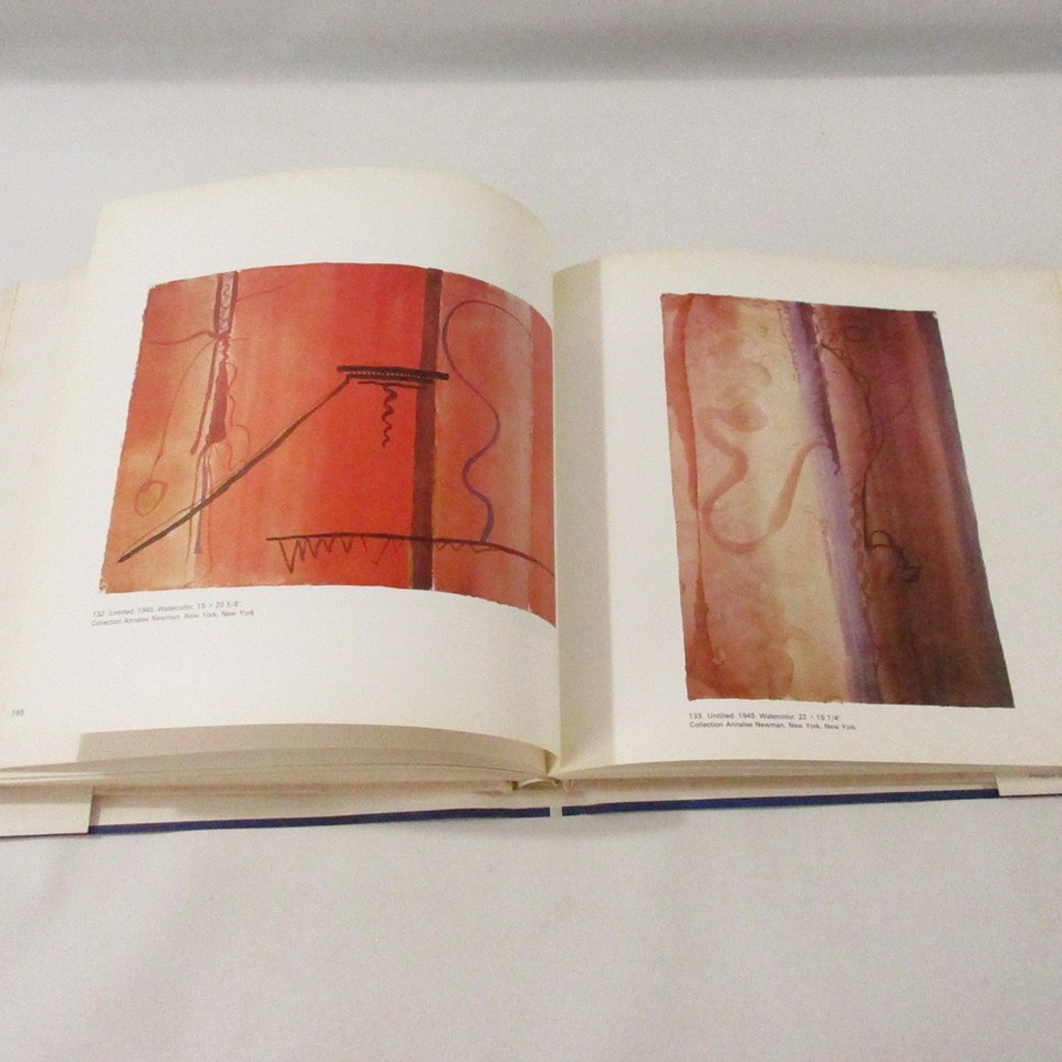 Barnett Newman Artist Monograph Abstract Expressionist Painter York ...