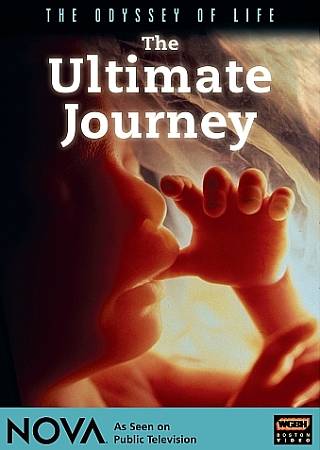 Nova - The Odyssey of Life: The Ultimate Journey (VHS, 1997) for sale ...