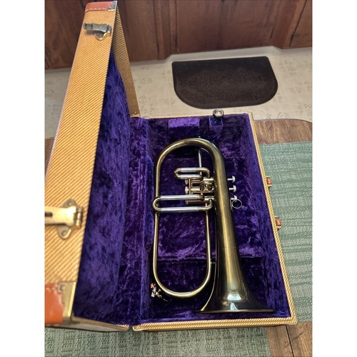 Antique Sistek Holland New Wonder Deluxe Flugelhorn, Mouthpiece, SN ...