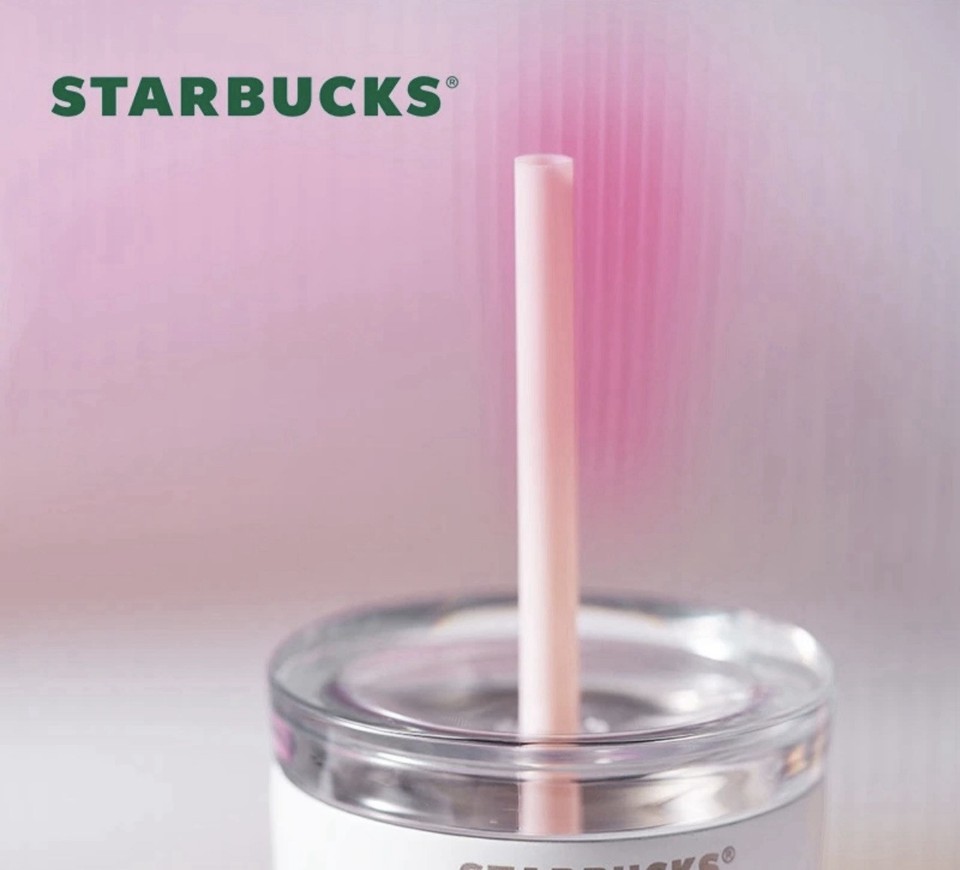 473ML Starbucks Cup Thermos Cup Stainless Steel Limited Edition French ...