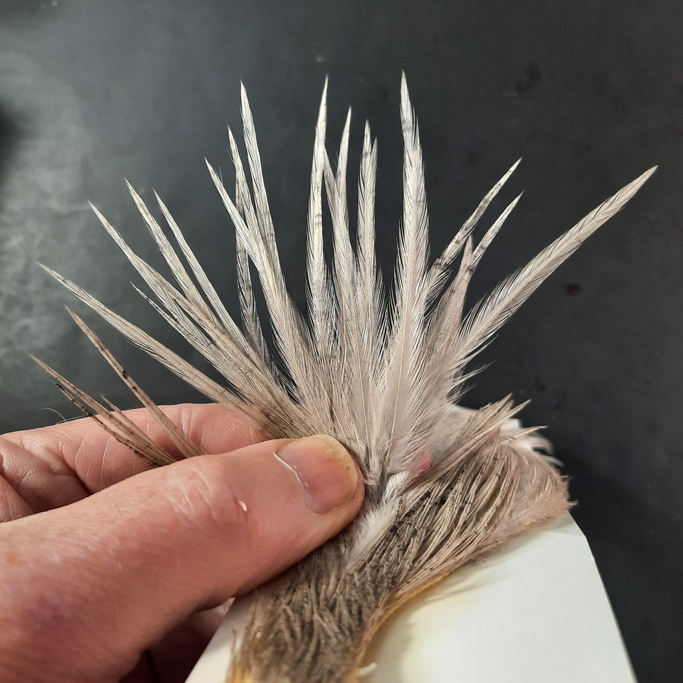 Metz Lt. Blue Dun #2 Half a Dry Fly Neck Cape Dry Fly Tying Feathers #G ...
