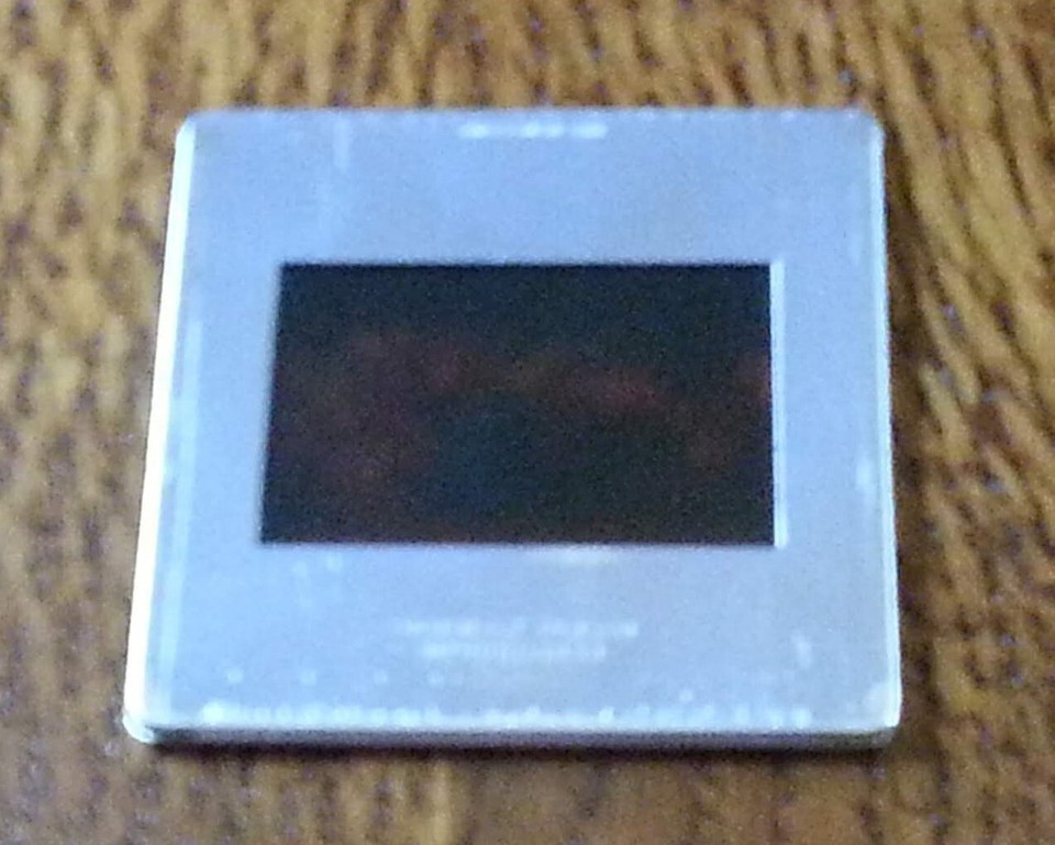 1961 PGA Championship Jerry Barber Chipping Up Olympia Fields IL 35mm ...