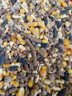 Chicken Scratch Feed Duck Turkey Quail Pheasant Wheat Milo Corn ...