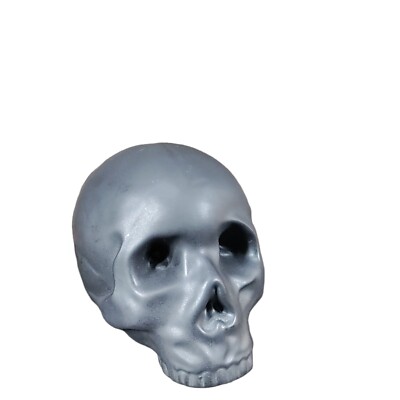 Black Skeleton Scull Piggy Coin Bank Ceramic Spooky Halloween Decor | eBay