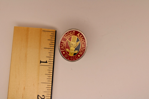Eagle Scout Association WLACC Pin Boy Scouts of America BSA | eBay