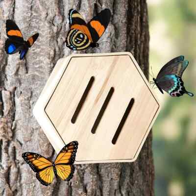 Bamboo & Wood Hexagonal Shaped Butterfly Insect House - Helps Pollinate ...