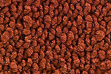 57-60 Ford F-100 Truck Original Loop Molded Carpet Kit *Made in USA* | eBay