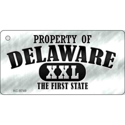 Property Of Delaware Novelty Metal Key Chain KC-9749 | eBay