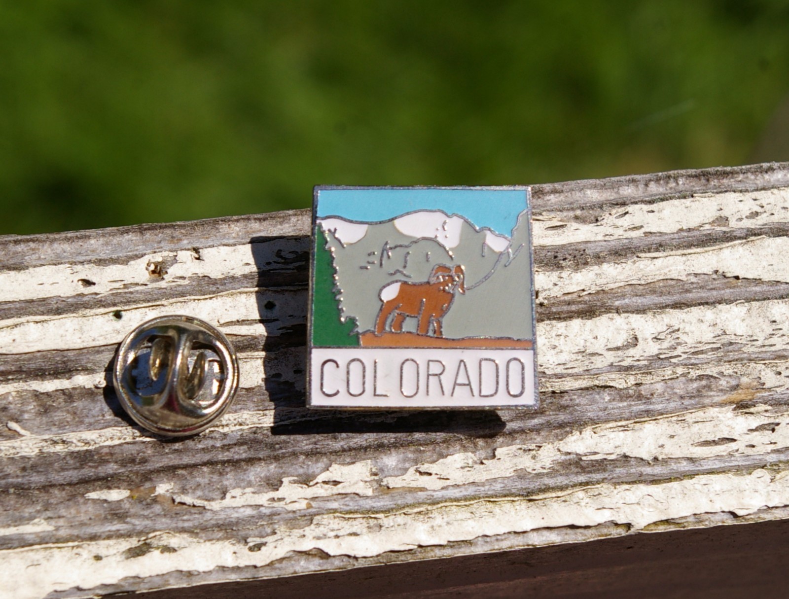 Colorado CO State Mountain Ram Lapel Pin Pinback Silver Tone Metal | eBay