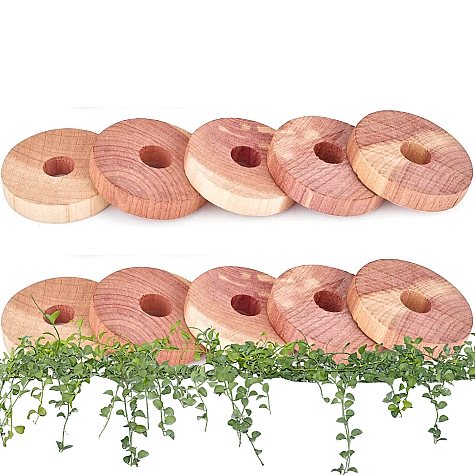 Cedar Space Cedar Blocks for Closet Storage 100% Nature Aromatic Wood ...