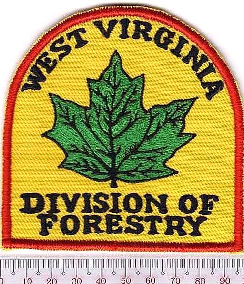 Hotshot Wildland Fire Crew West Virginia, Division of Forestry Patch | eBay