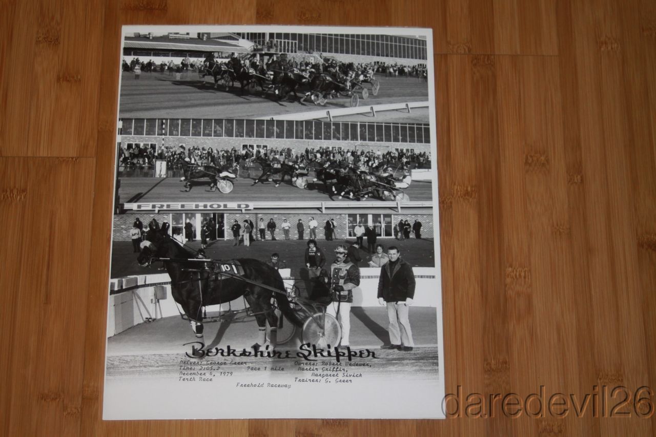 Vintage 1979 Harness Horse Racing Freehold Speedway Winner 11x14 Photo ...