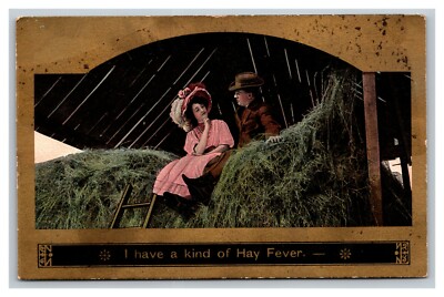 Vintage 1910 Humor Postcard Couple Sitting on a Bale of Hay "I Have Hay ...