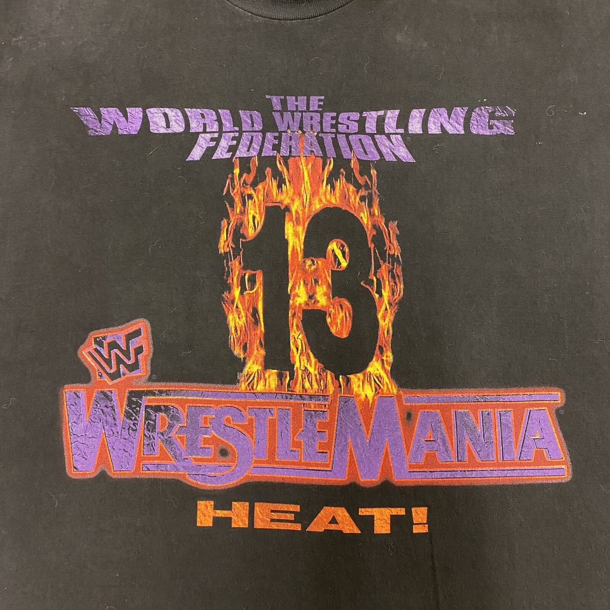 Wrestlemania 13 Logo