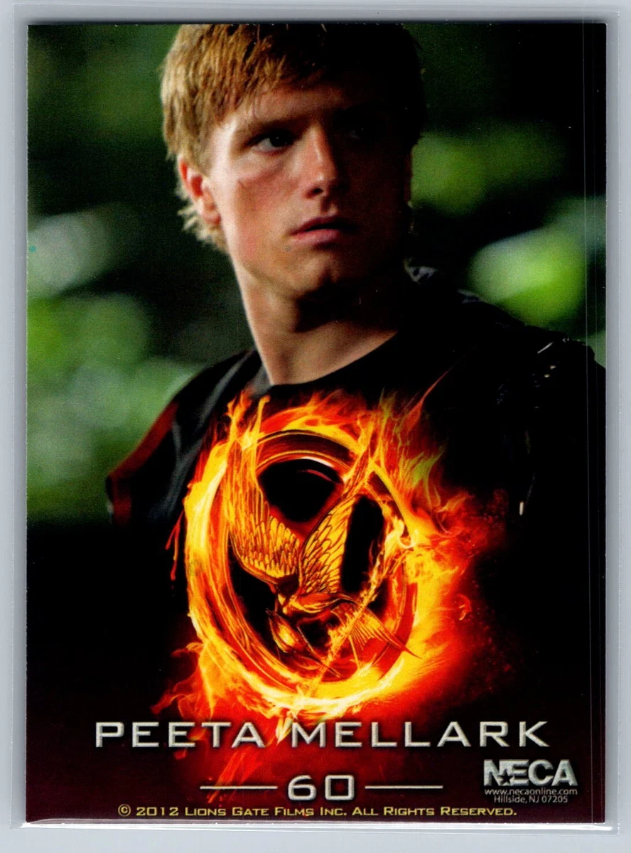 Peeta Mellark Hunger Games Poster