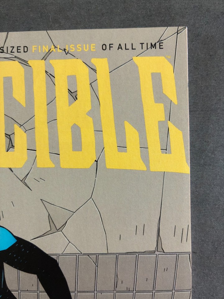 INVINCIBLE #144 - Final Issue Terra Invincigal Variant Cover - Image ...