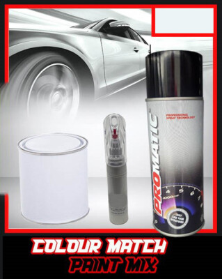 Commercial Industrial 1K Paint - Touch Up, Aerosol, Spray - DAF Ice ...