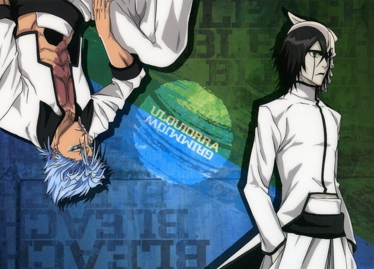 Ulquiorra And Grimmjow Bleach Espada Grimmjow Ulquiorra Anime Cup