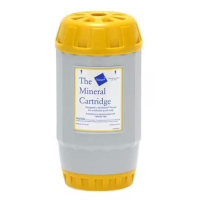 Nature 2 - A30 Above Ground Pool Replacement Cartridge EDP:01503 | ZD ...