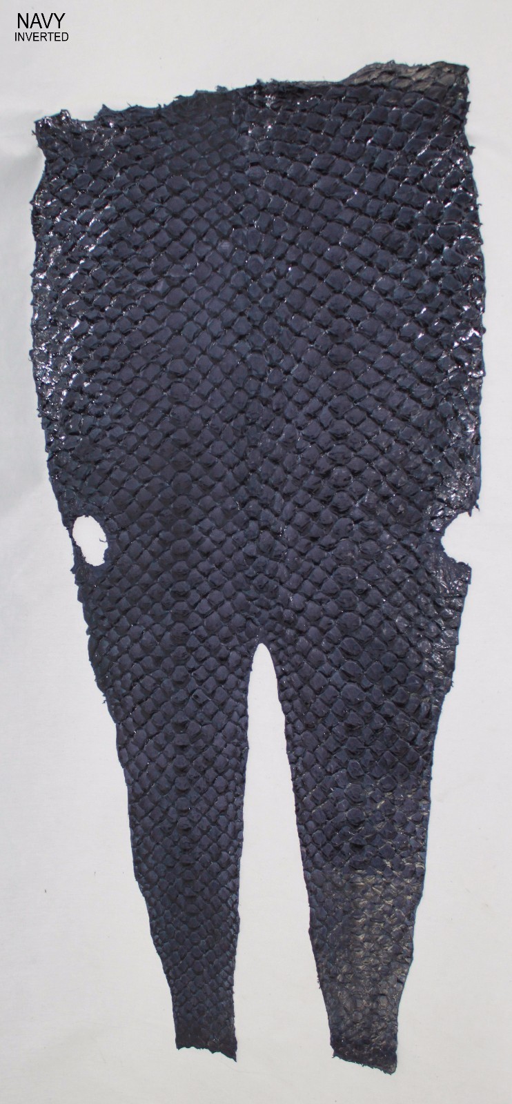 Pirarucu skin, Arapaima skin (INVERTED SCALES) 12 colors available see ...