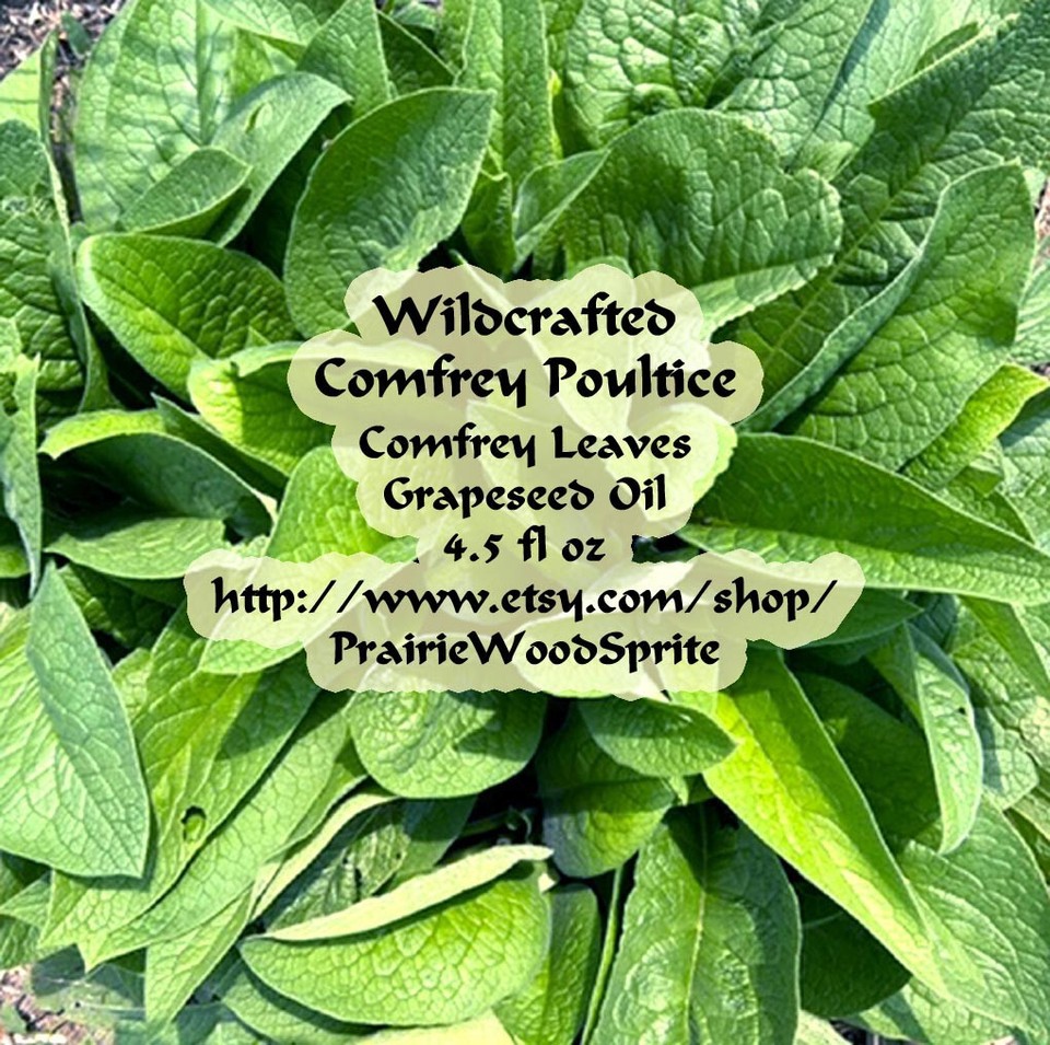 PURE Comfrey POULTICE, 4.5 fl oz ORGANIC Boneknitter Allantoin Plaster ...