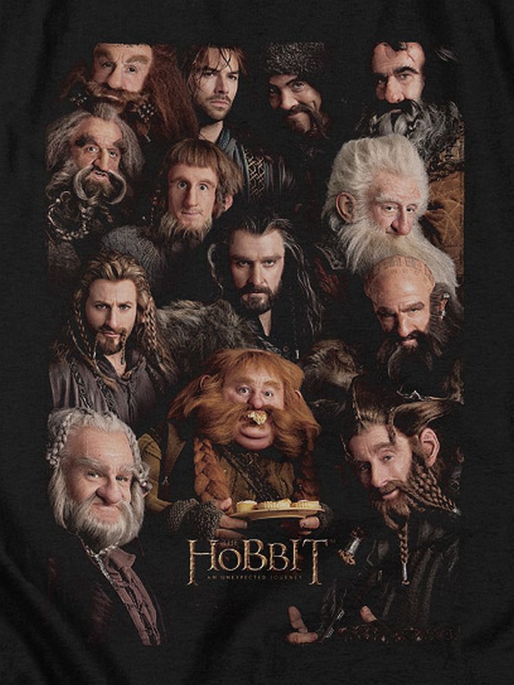 The Hobbit Trilogy "Dwarves Poster" Pullover Hoodie, Sweatshirt or Long ...