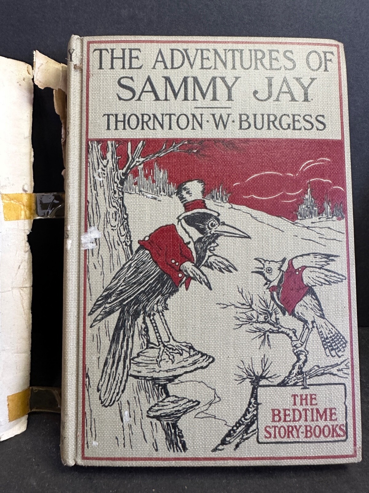 THE ADVENTURES OF SAMMY JAY, Thornton W. Burgess, 1925, #21 | eBay