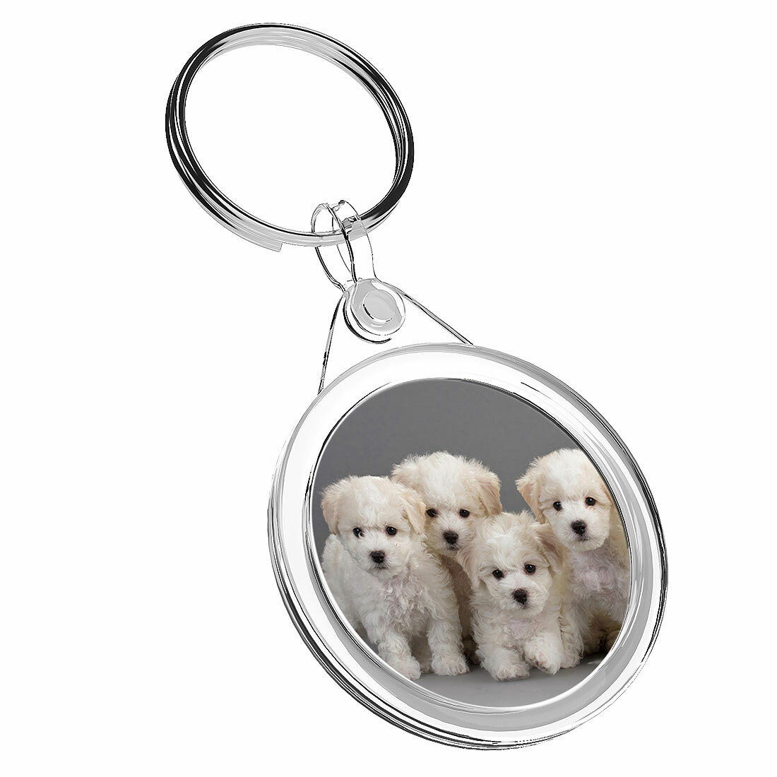 1 x Cute Bichon Frise Puppies - Keyring IR02 Mum Dad Kids Birthday Gift ...