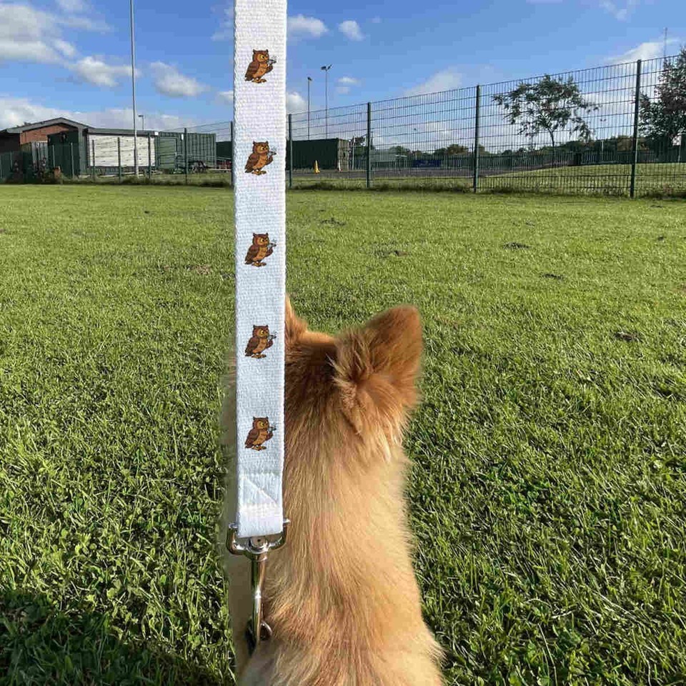 'Cute Owl Blowing Whistle' Dog Lead / Leash (DL00028064) | eBay UK