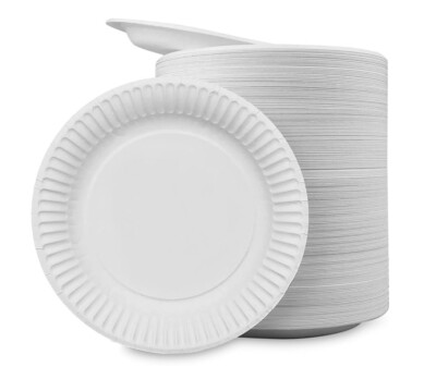 Disposable Paper Plates Recyclable White Party Catering Dishes - All ...