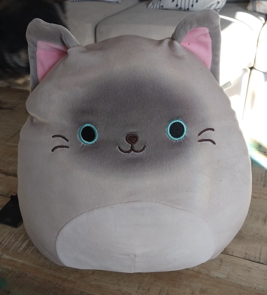 Squishmallows Felton The Siamese Cat 12” Plush Kellytoy 191726477884| eBay