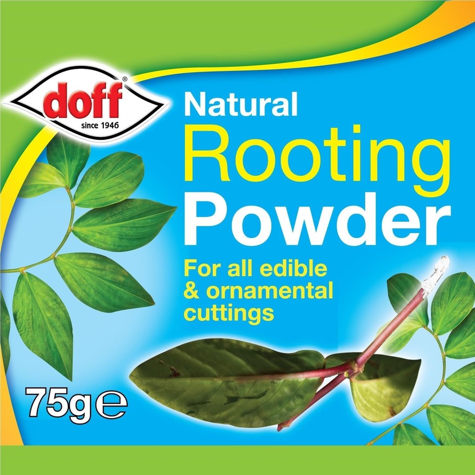 2 x Natural Rooting Powder Plant Cutting Promotes Strong Healthy Roots ...