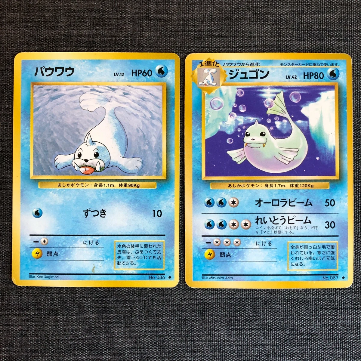 Seel Evolution