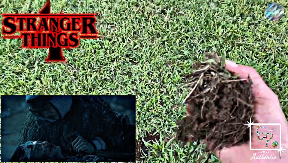 Stranger Things Relics Props Memorabilia | eBay