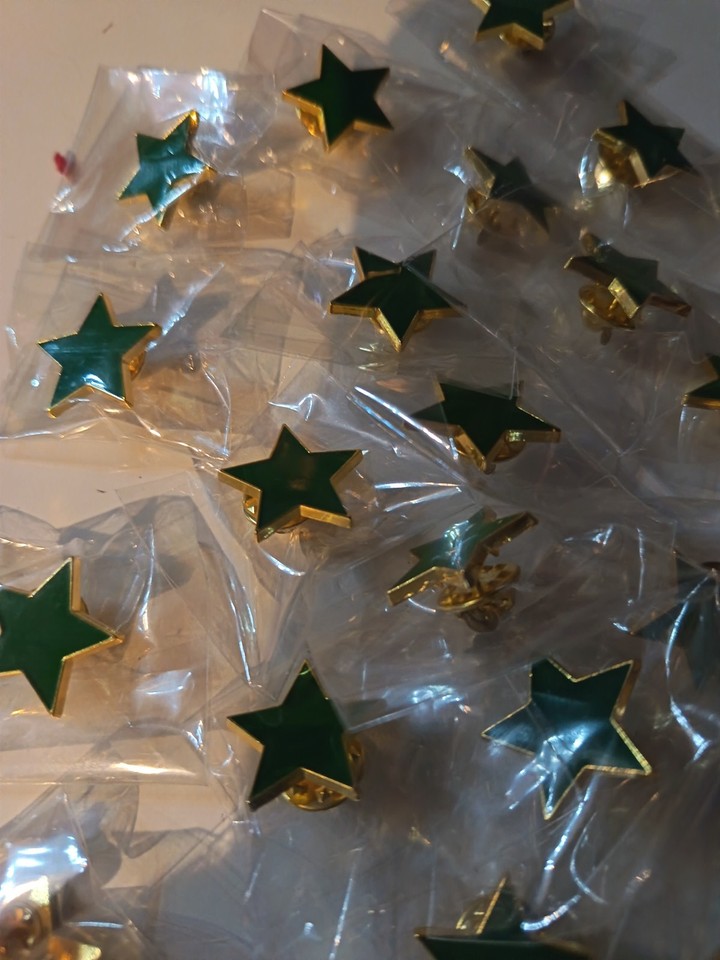 24 Pc Lot Gold Star Color Green Lapel Pin 1/2" Wide Teacher Pin Back ...