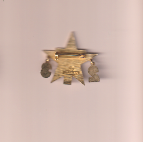 TEXAS 23 LIONS CLUB PIN | eBay