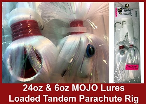 - Rock Fish Candy 24 oz & 6 oz Mojo Lures Loaded with 9-Inch Swimbait ...