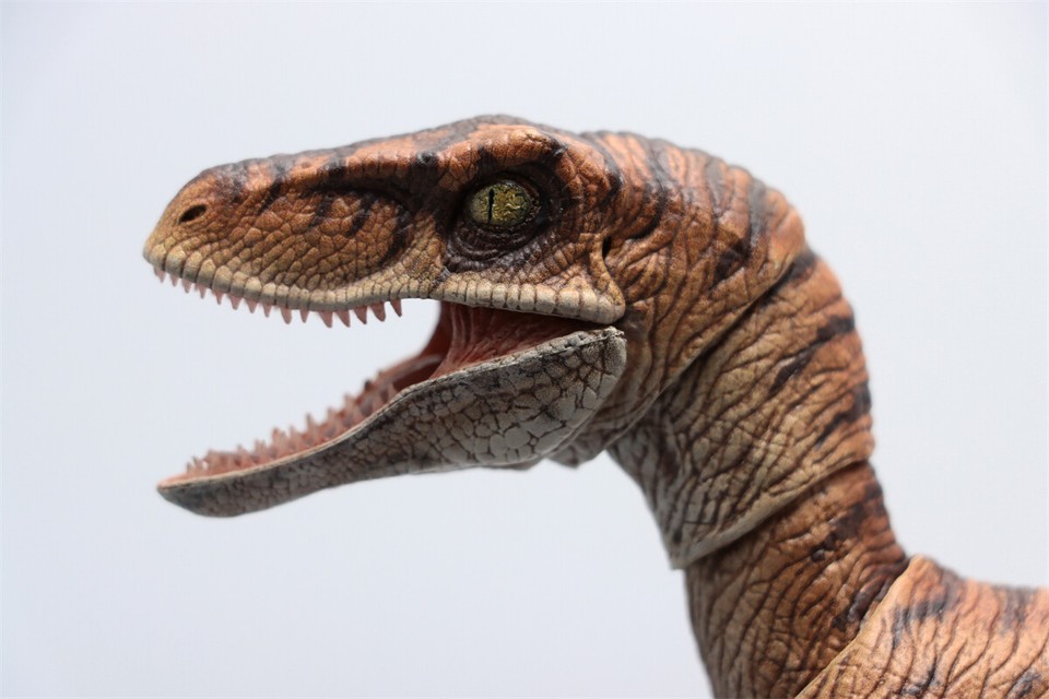 Nanmu 1/12 Smart Series Raptor 2.5 Action Figure Collections Dinosaur ...