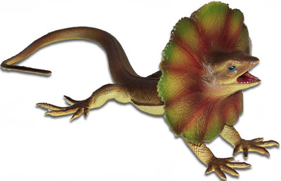 AAA 22243 Frilled Lizard Toy Australian Animal Reptile Replica Prop ...