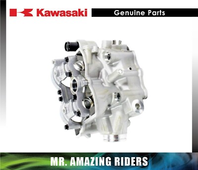 Kawasaki Genuine OEM Kx250f 2015-2016 Cylinder Head 11008-0842 | eBay