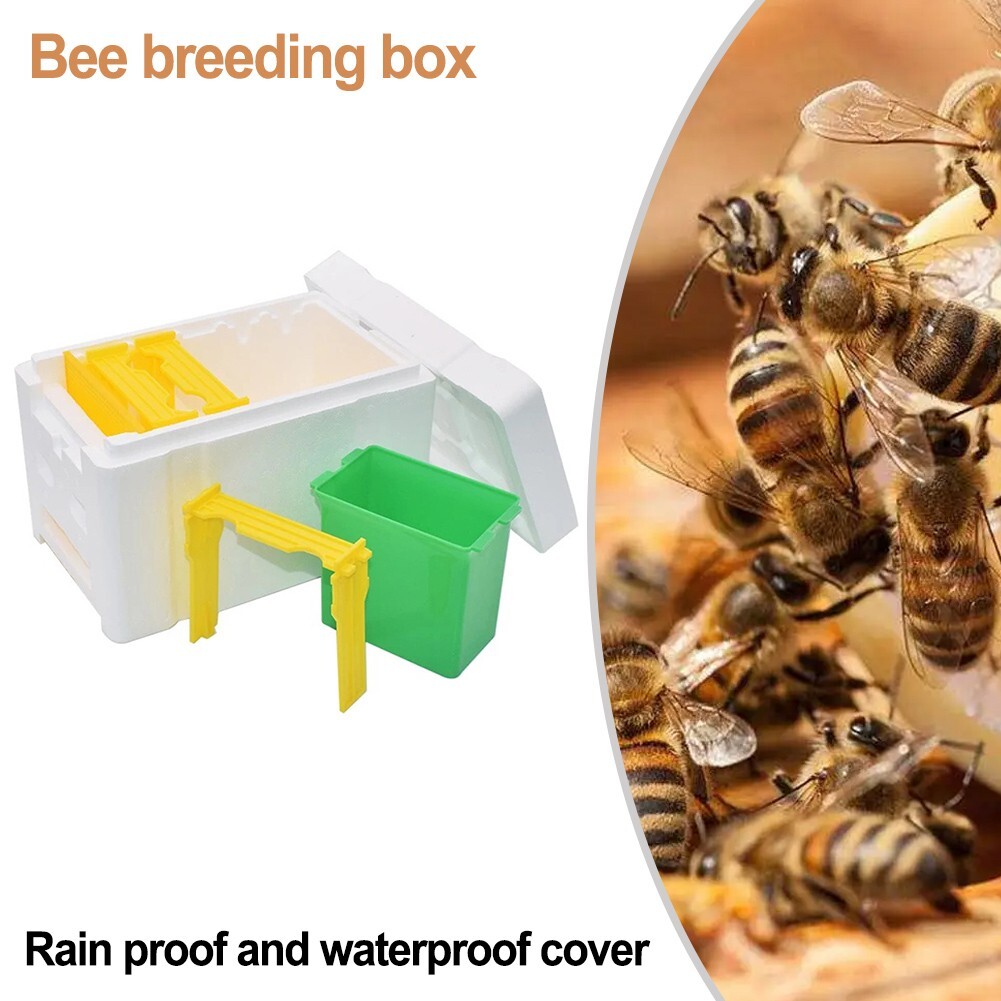 Foam Queen Bee Mating Box Mini Nucleus Hive Breeding Harvesting ...