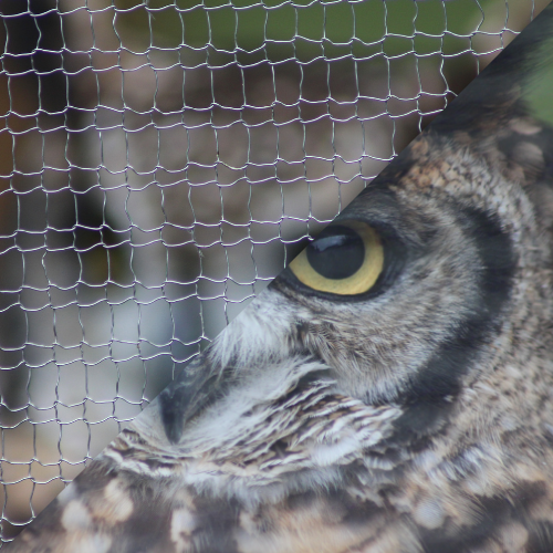 Zoo Animal Mesh / Aviary Mesh - Knitted Stainless Steel Wire Mesh ...