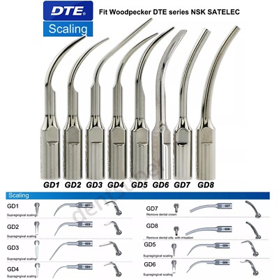 Woodpecker Ultrasonic Scaler GD1 Stainless-steel Scaler Tip For DTE ...