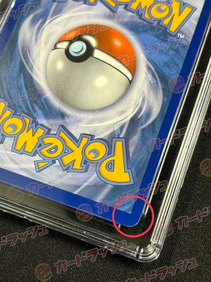 CGC10 2014 Pokemon World Championships No. 1 Trainer GEM MINT | eBay