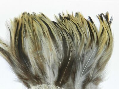 Feathers - Badger Hackle
