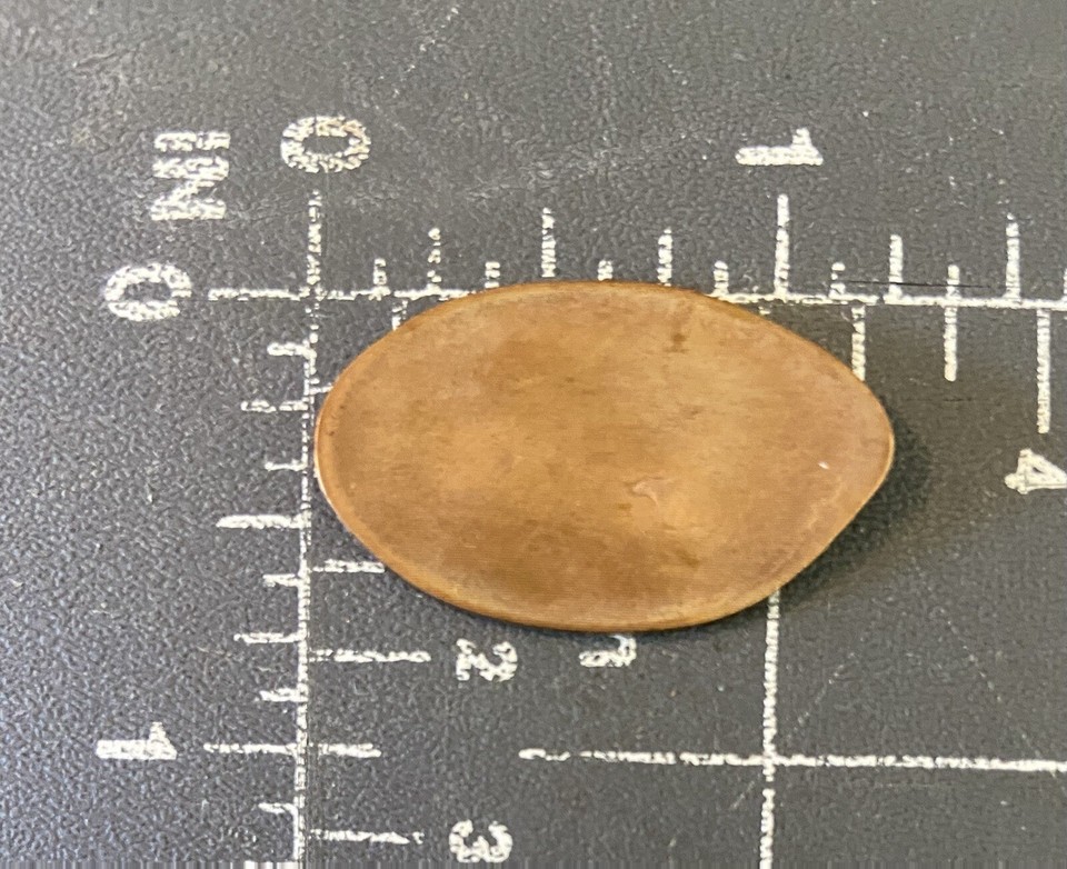 Houston Museum of Natural Science Tyrannosaurus Rex T-Rex Elongated ...